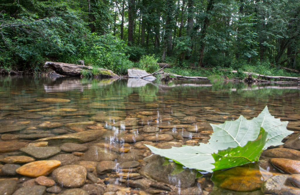 NC Water Resources Research Institute